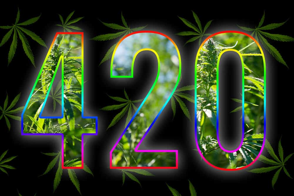 420 Day : c'est quoi la journée mondiale du cannabis